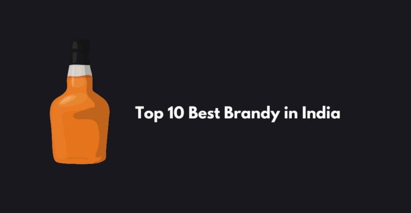 Top 10 best brandy in India with Price 2024 - Wet Paint