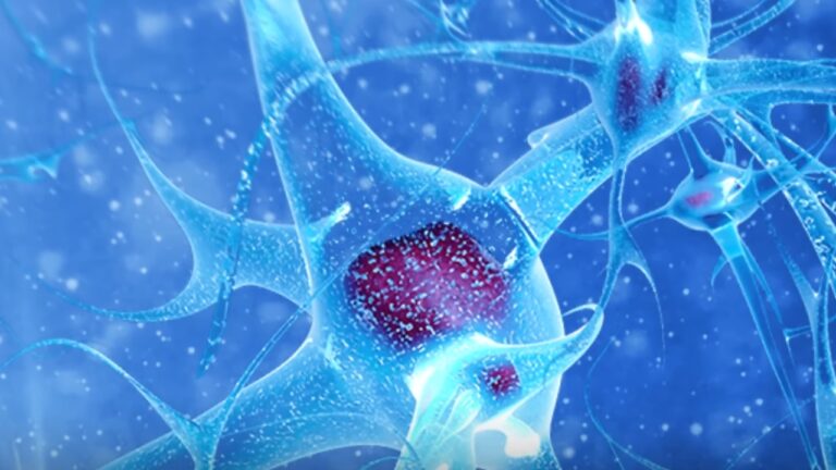 Brain Boosters: Enhancing Cognitive Processing Through Reaction Time ...